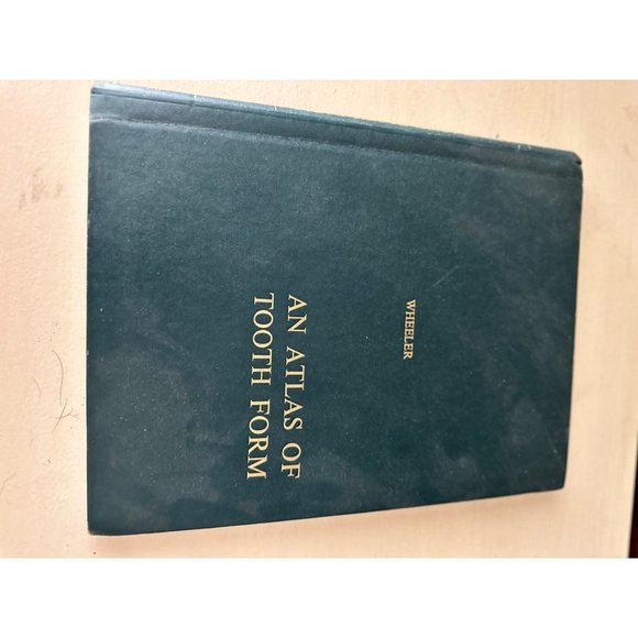 Other | An Atlas Of Tooth Form 1969 Russell Wheeler Dentistry Vtg ...